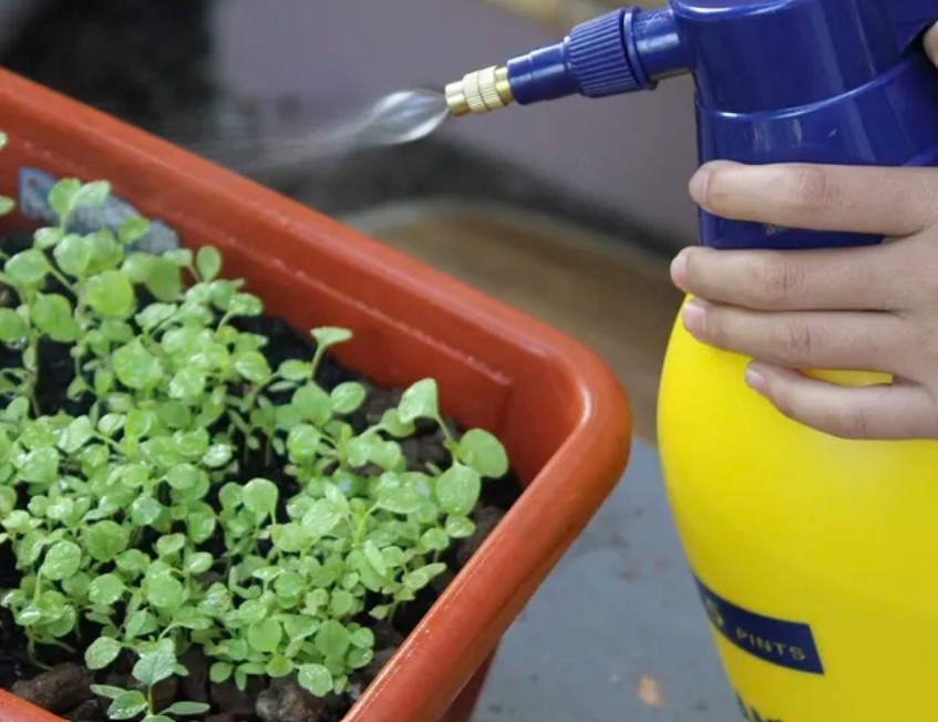 The origin of STEM education – A PRACTICAL HANDBOOK ON EFFECTIVE ...