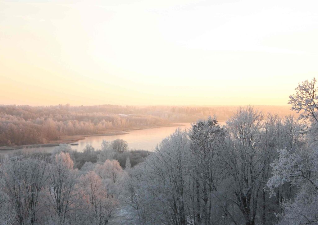 Pildid ja autoriõigus – Digiõpik I kooliaste